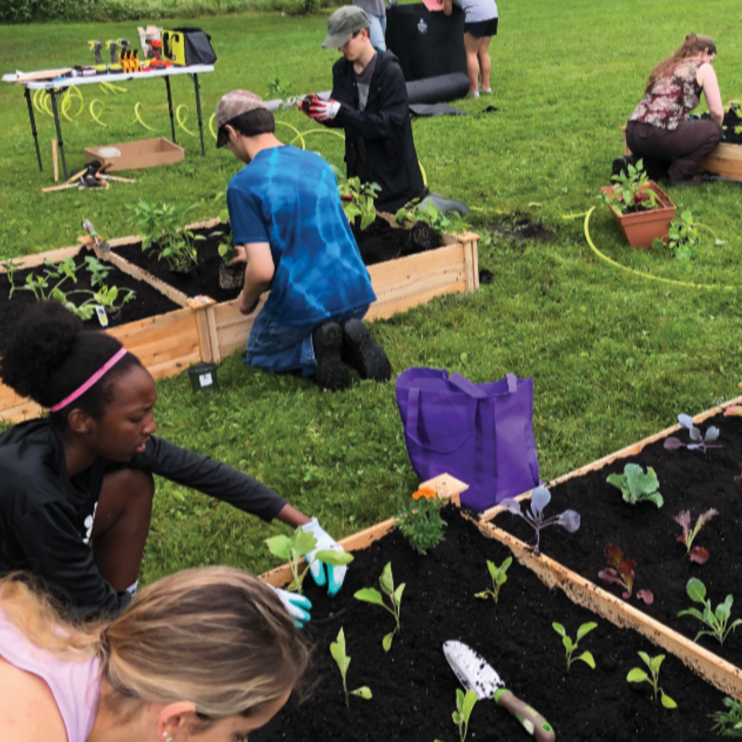 Supplemental Nutrition Assistance Program Education (SNAP-ED ...